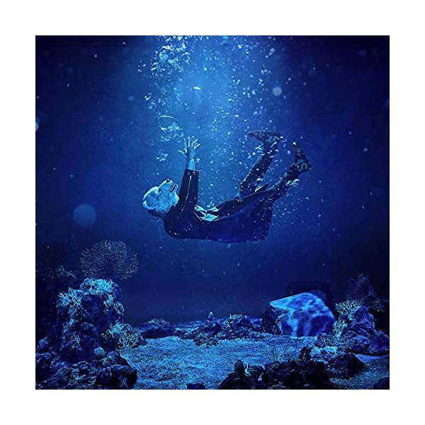 種別:CD SINGLE/シングル発売日:2021/06/09収録曲: / INTO THE DEEP / Perfect Clarity / 小さきものたち / Dark Crow