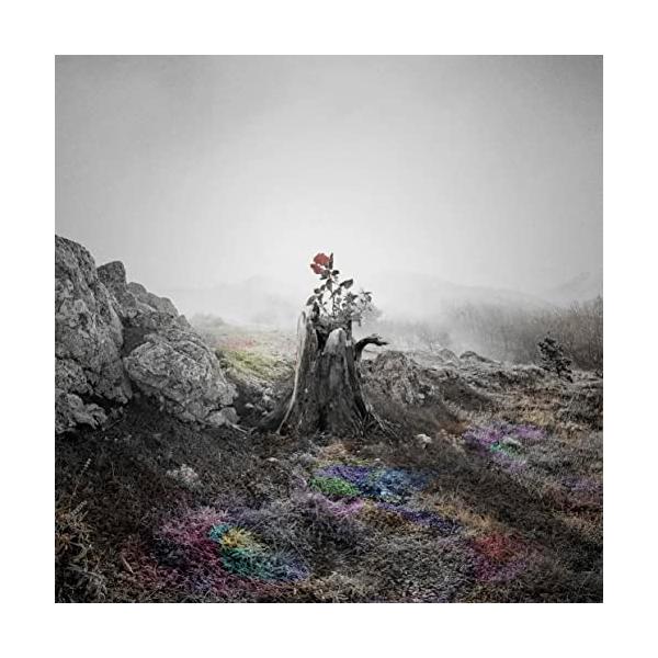 種別:CD SINGLE/シングル発売日:2022/11/23収録曲: / 花 / WATCH WHAT YOU BE / ダンシング・オールナイト / 花 -Instrumental-