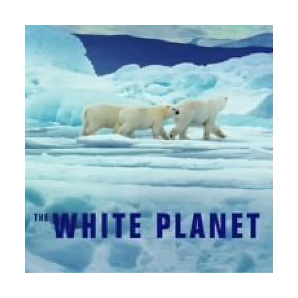 種別:CD/アルバム発売日:1998/04/22収録曲: / L’espoir de l’ours / La naissance des oursons / La planete blanche / Baleines boreales / ...