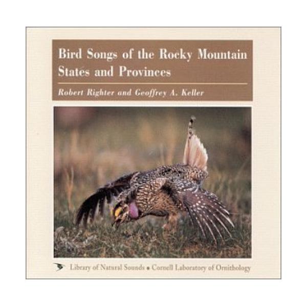 種別:CD/アルバム発売日:2019/07/24収録曲: / intro〜bird`s nest〜 / SOULS / 空の瞳 / 君の音が聴こえる場所へ / deep breath / REALIZE / パズル / rainterlud...