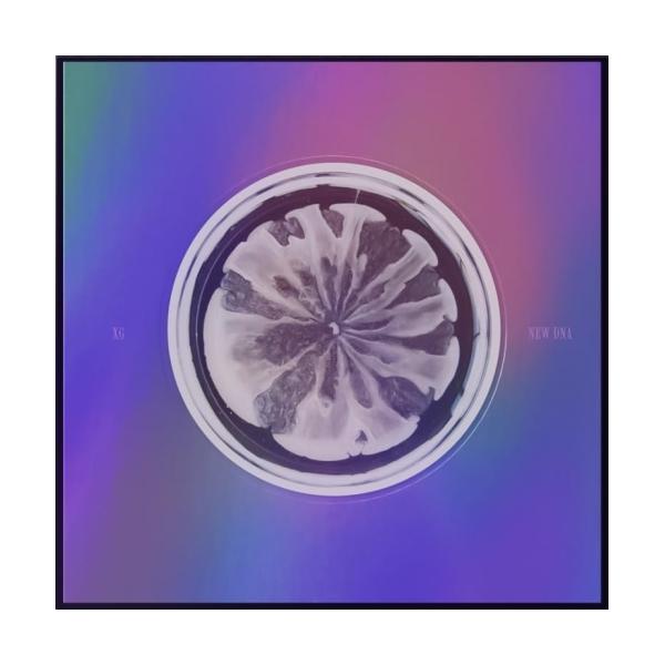 種別:CD/アルバム発売日:2023/09/27収録曲: / HESONOO / X-GENE / GRL GVNG / TGIF / NEW DANCE / PUPPET SHOW