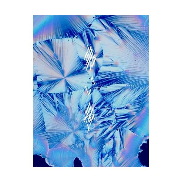 種別:CD/アルバム発売日:2025/12/10収録曲: / 青 / 畢竟 / 音楽 / 憂いの化け物 / SCAPEGOAT / 灯火 / いちばんぼし / ブルーマーブル / 表情差分 / 後書き / 心臓