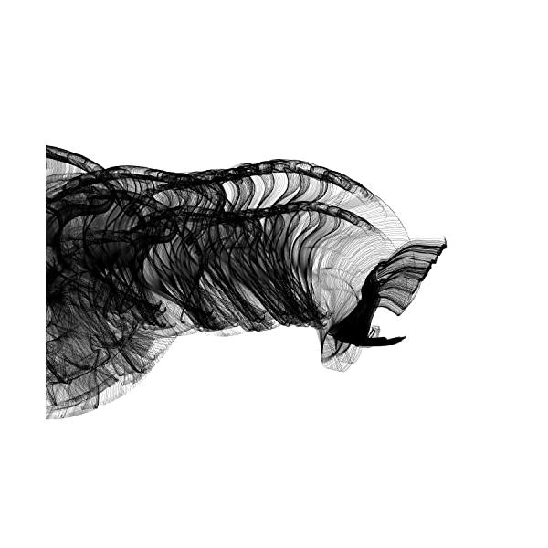 種別:CD/アルバム発売日:2022/01/19収録曲: / Bubbles &amp; Scales [Bricolage ?] / Etude  / Polyclock etude [Bricolage ?] / Transform a...