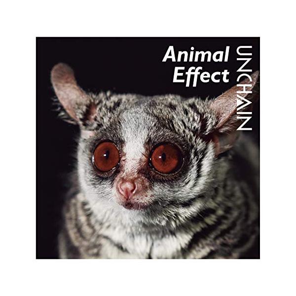 種別:CD/アルバム発売日:2021/02/17収録曲: / Elephant Ship / Choices / Wait For The Sun / Touch My Soul / Not Too Late / Like A Star /...