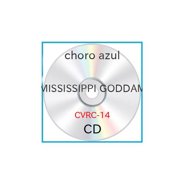 種別:CD/アルバム発売日:2003/08/21収録曲: / MISSISSIPPI GODDAM / DON’T YOU PAY THEM NO MIND / THE CASTLE OF THE SAND / PLAIN GOLD RIN...