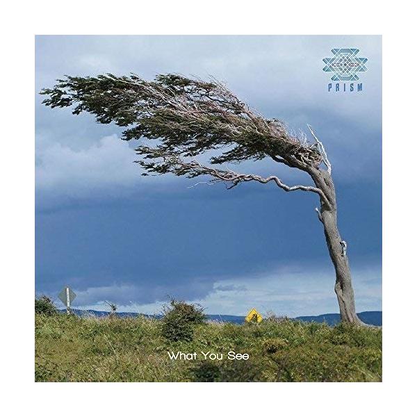 種別:CD/アルバム発売日:2017/07/26収録曲: / Alter Ego〜Limbo / What You See / Ethnos / Red and Black / Big Swamp / Lights in the Dista...