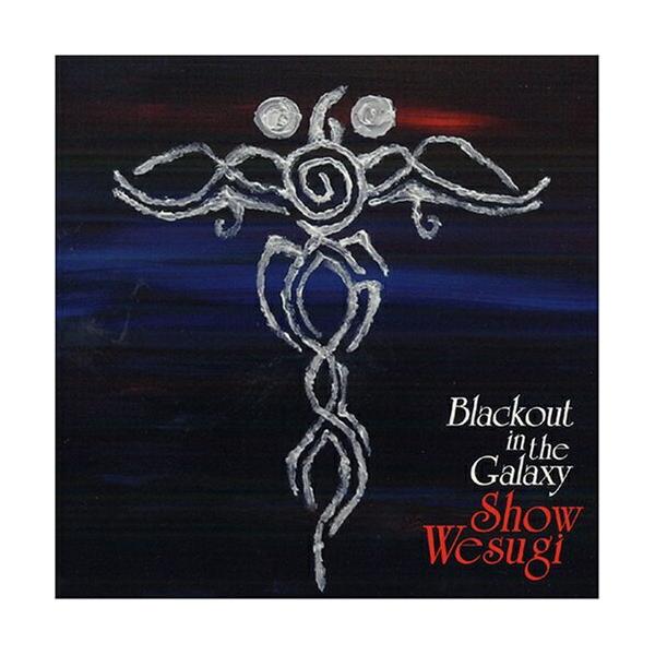 種別:CD/アルバム発売日:2022/12/14収録曲: / Blackout in the Galaxy / 雨音 / 昼の月 / poo pee people / Tough Luck / 寂寥たる荒野に / Unknown / So ...