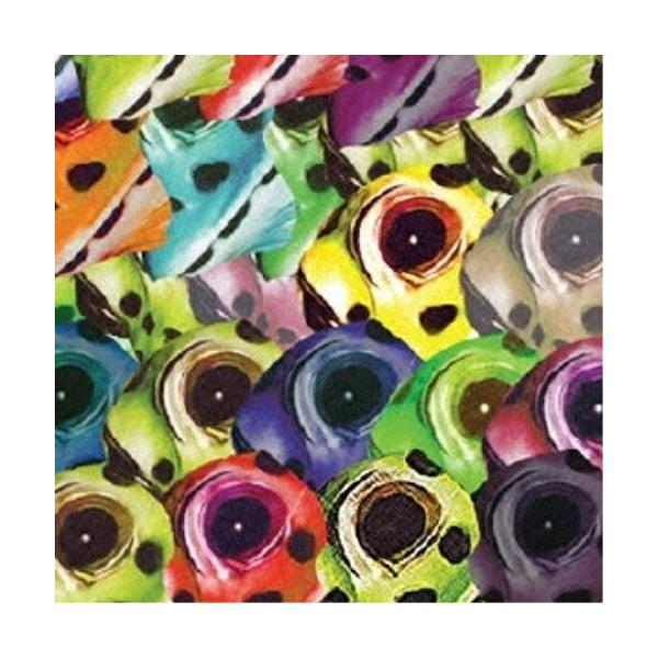 種別:CD/アルバム発売日:2009/09/16収録曲: / PALE BOY / KILL THE HOUSE / WASH MY BONES / SOCIAL EVILS &amp; A POTATO / PATH TO FREEDOM...