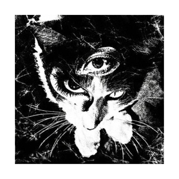 【発売日：2026年04月22日】