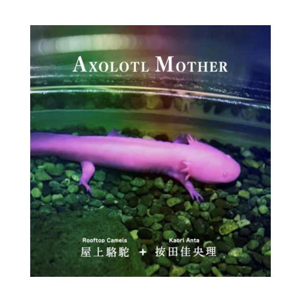 【発売日：2026年04月29日】種別:CD/アルバム発売日:2026/04/29収録曲: / 明日比べ / アドの勇者 / ゴンズイ行進曲 / バロック夫婦 / Afro De I Te, Keep Your Afro / Tabuchi...