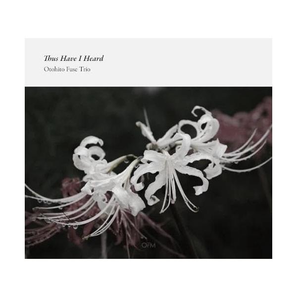 種別:CD/アルバム発売日:2025/10/08収録曲: / Tsutomete / Northbound Journey / White Lycoris / Sado / B.A.S.D. / Nyoze / We Can Hardly ...