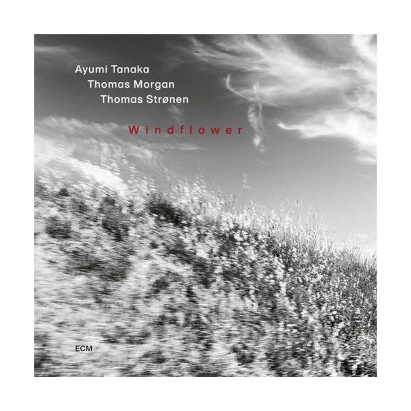 種別:CD/アルバム発売日:2026/09/16収録曲: / ウィンドフラワー / ラ・ソース / フロム・アス、トゥ・ユー / ツリー・オブ・スターズ / ウィーヴィング / ザ・シー・イズ・スティル / スプリング / ドリフトウッド ...