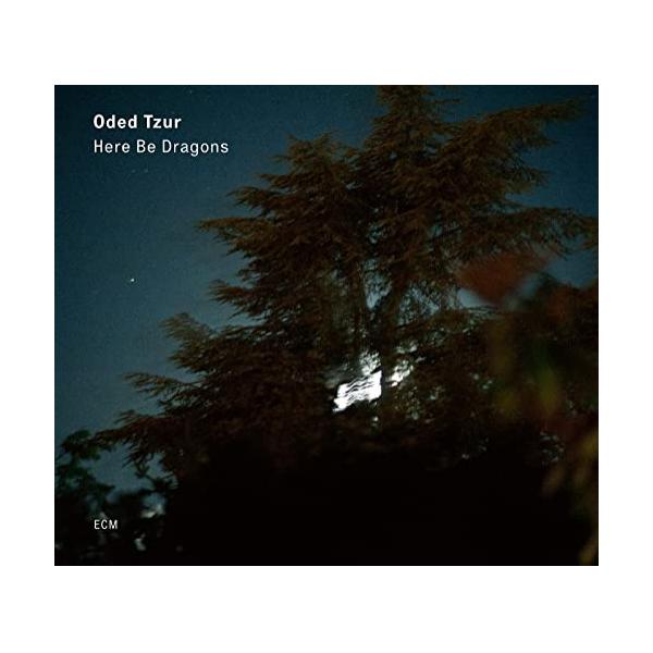 種別:CD/アルバム発売日:2022/05/11収録曲: / ヒア・ビー・ドラゴンズ / トゥ・ホールド・ユア・ハンド / 20 イヤーズ / ミニアチュア 1 / ミニアチュア 2 / ミニアチュア 3 / ザ・ドリーム / 好きにならず...