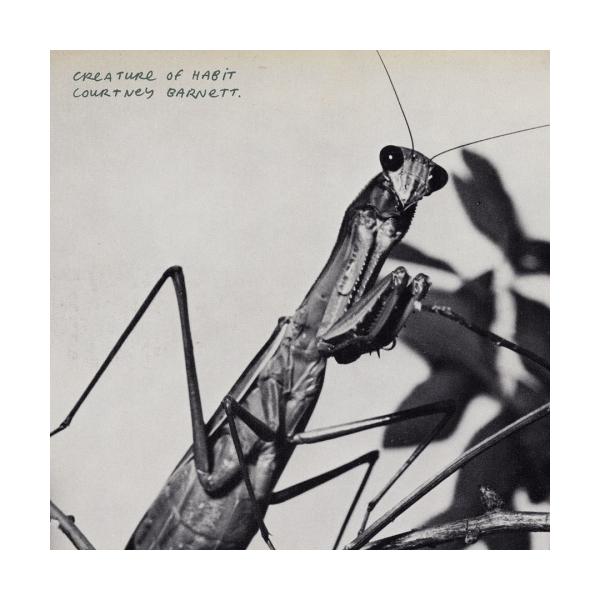 【発売日：2026年03月27日】種別:CD/アルバム発売日:2026/03/27収録曲: / Stay In Your Lane / Wonder / Site Unseen  / Mostly Patient / One Thing A...