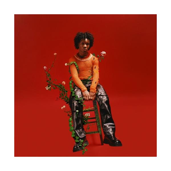 種別:CD/アルバム発売日:2023/07/12収録曲: / スリープ・ウェル / ヒア・ウィズ・ミー / ディス・イズ・ハウ・イット・フィールズ  / ドント・フォーゲット・アバウト・ミー / ワースレス / バックストリート・ガール /...