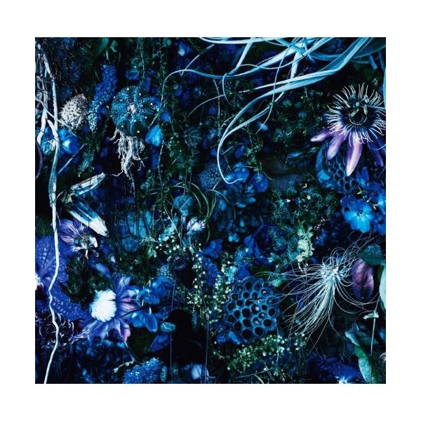 種別:CD/アルバム発売日:2017/11/29収録曲: / 永遠 feat.RYUICHI / Daniela feat.Yoohei Kawakami / 絶彩 feat.京 / Rebellmusik feat.K Dub Shine...