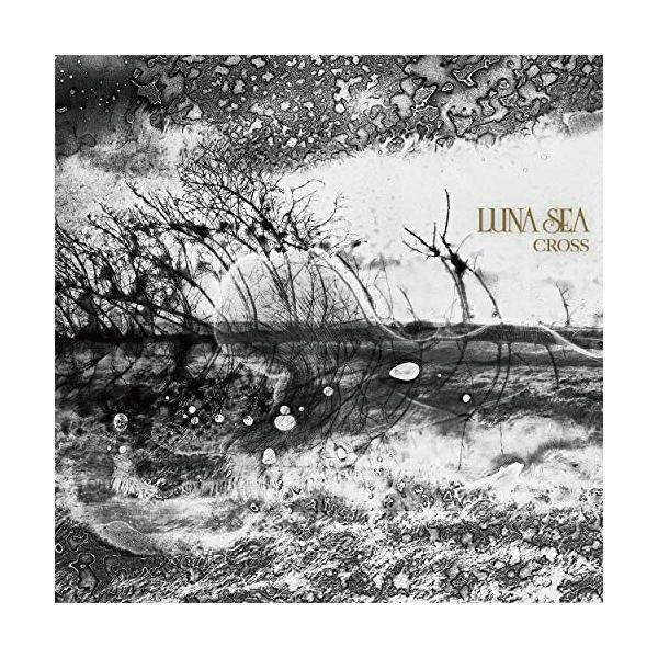 種別:CD/アルバム発売日:2019/12/18収録曲: / LUCA / PHILIA / Closer / THE BEYOND / You’re knocking at my door / 宇宙の詩 〜Higher and Highe...