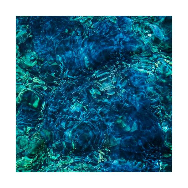 種別:CD/アルバム発売日:2025/02/28収録曲: / COLORATURA / 24° 03’ 27.0” N 123° 47’ 07.5” E / mazamun / tower / aurora / FLAG / Cochlea...