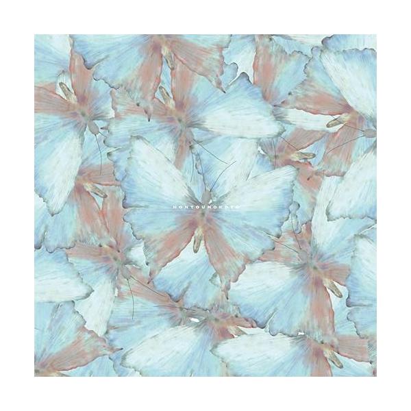 種別:CD/アルバム発売日:2025/05/21収録曲: / opening / 37秒で / tale chasing feat.春ねむり / L-system down / lemmings / animation / pilgrim ...