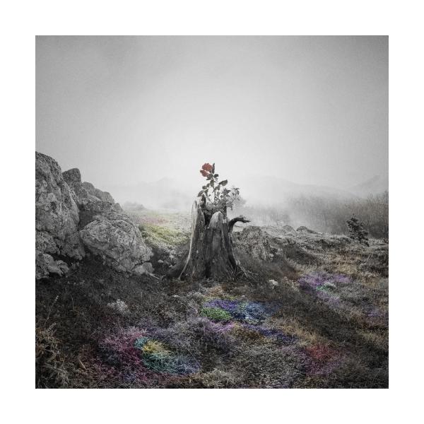 種別:CD SINGLE/シングル発売日:2022/11/23収録曲: / 花 / WATCH WHAT YOU BE / ダンシング・オールナイト / 花 -Instrumental-