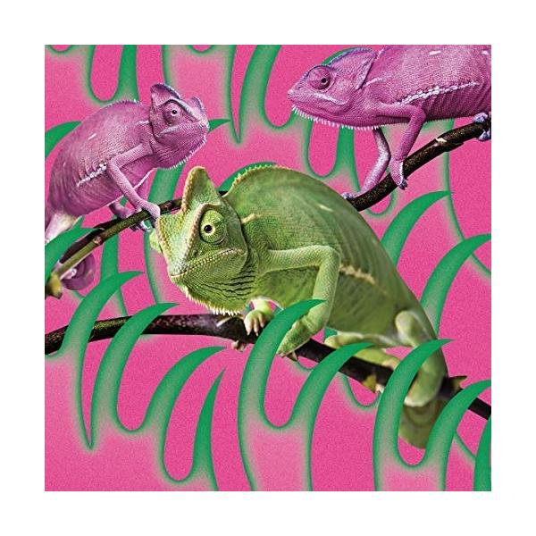 種別:CD/アルバム発売日:2019/10/23収録曲: / 消えない / Highway Cabriolet / 凛々爛々 / HEISEI / Yo-Ho