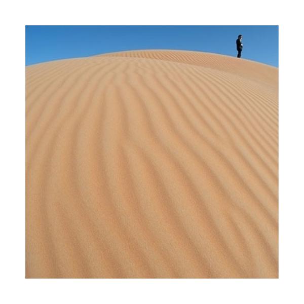 種別:CD/アルバム発売日:2025/01/15収録曲: / H  / ROBIN’S EYE VIEW OF CONVERSATION / THE BASSMAN FROM LDK / PIANO PILLOWS / ALPS / GUI...