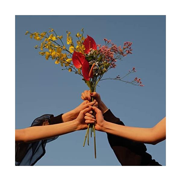 種別:CD/アルバム発売日:2023/07/07収録曲: / The End of the Gravity / 流星群 / ぐるぐる / みっともないほど愛だった / 浸水 / Funny Side Up / 銀河鉄道の夜に / In yo...