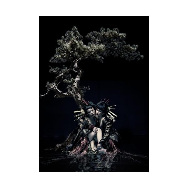 種別:DVD発売日:2013/06/26収録曲: / [Diplosomia〜XI] / DERANGEMENT / GABRIEL ON THE GALLOWS / VENOMOUS SPIDER’S WEB / VORTEX / CLE...