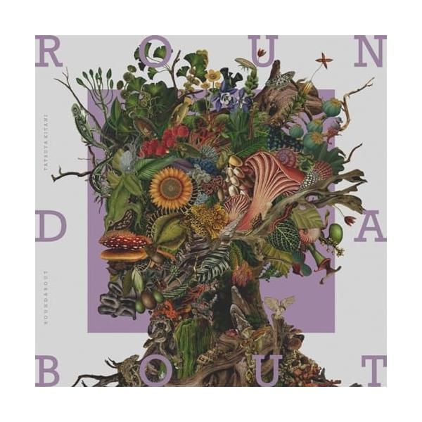 種別:CD/アルバム発売日:2024/01/10収録曲: / 私が明日死ぬなら / 青のすみか / Moonthief / キュートアグレッション / 化け猫 / 月光  / 旅にでも出よっか / ナイトルーティーン / スカー / 大人に...