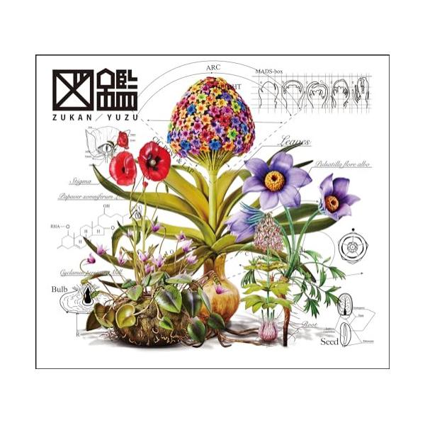 種別:CD/アルバム発売日:2024/07/31収録曲: / Overture -harmonics- / 図鑑 / 伏線回収 / Chururi / 花言霊 / Frontier / つぎはぎ / SUBWAY / 十字星 / Inter...