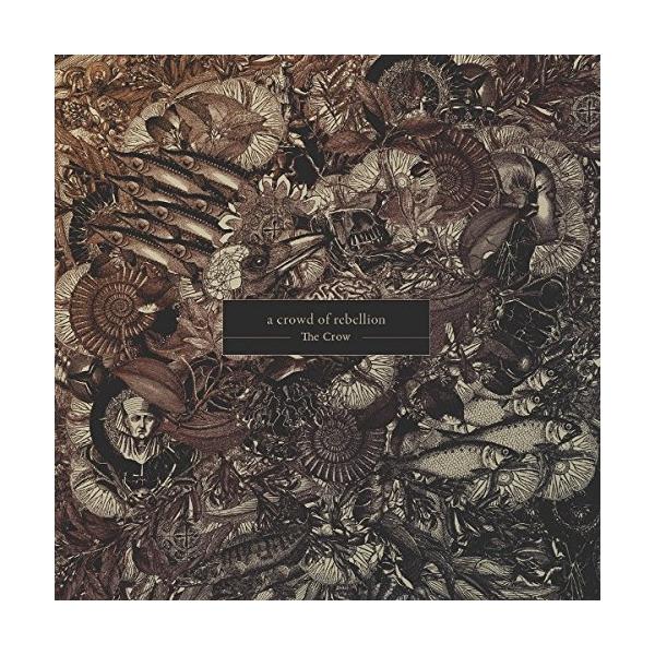 種別:CD SINGLE/シングル発売日:2015/03/04収録曲: / The Crow / REBELLIOUS BEHAVIOR / A Malice Of Rider