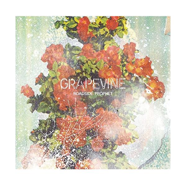 種別:CD/アルバム発売日:2017/09/06収録曲: / Arma / ソープオペラ / Shame / これは水です / Chain / レアリスム婦人 / 楽園で遅い朝食 / The milk  / 世界が変わるにつれて / こめか...