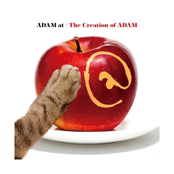 種別:CD/アルバム発売日:2025/01/29収録曲: / 六三四  / MONOLITH 2021 / Echo Night  / Clarice / OUTLAST / サイコブレイク  / Oroppas  / 百物語 / Kara...