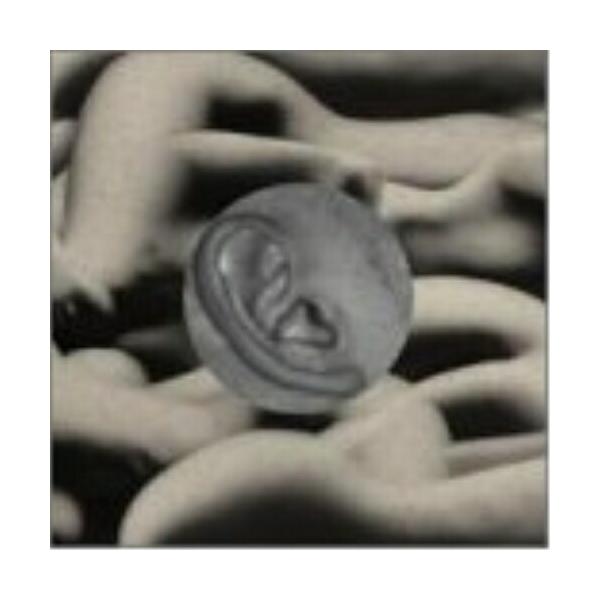 種別:CD/アルバム発売日:2004/02/11収録曲: / stromatolite / L09663 / clear your mind / changes / innocent walls / blauer morgengrau / ...