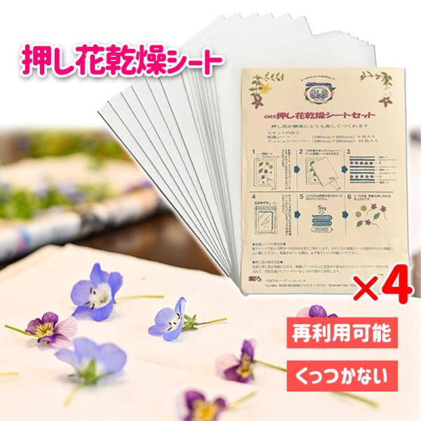 このセットと重しだけあれば、板やティッシュ等が不要で誰でも簡単にきれいな押し花ができます。●乾燥シートは乾燥剤に塩化カルシウムを漉き込んだ特殊シート。●クッションペーパーは花芯の厚い花でも優しくはさみ、また、ティッシュ等を当てなくても花びら...