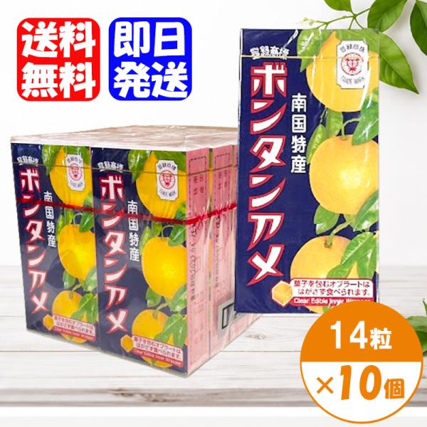 ●商品詳細・高品質な柑橘系フルーツで、鮮やかな黄色い果実と豊かな風味が特徴です。・大正時代からのロングセラー：大正14年創業以来、日本中で愛され続ける鹿児島発の伝統キャンディー。世代を超えて親しまれる変わらない味わいです。・SNS／テレビで...