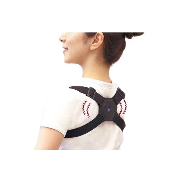 ★この商品は送料無料です。商品の発送はクロネコゆうパケットでの発送となります。（代引支払はできません）★クロネコゆうパケットに関しては配送時の保証がございません。★化粧箱を外して簡易包装で発送する場合がございます。