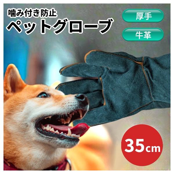 ★この商品は送料無料ですが、北海道、沖縄、離島は８８０円の送料がかかります。