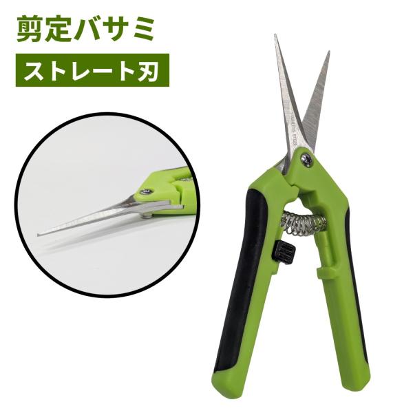 ★この商品は送料無料です。商品の発送はゆうパケットでの発送となります。（代引支払はできません）★ゆうパケットに関しては配送時の保証がございません。★化粧箱を外して簡易包装で発送する場合がございます。