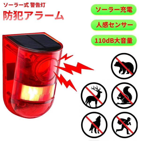 ★この商品は送料無料ですが、北海道、沖縄、離島は８８０円の送料がかかります。