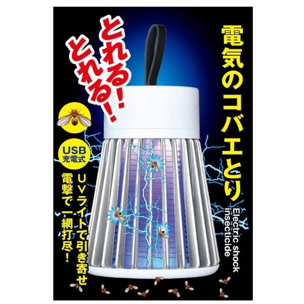 ★この商品は送料無料ですが、北海道、沖縄、離島は８８０円の送料がかかります。