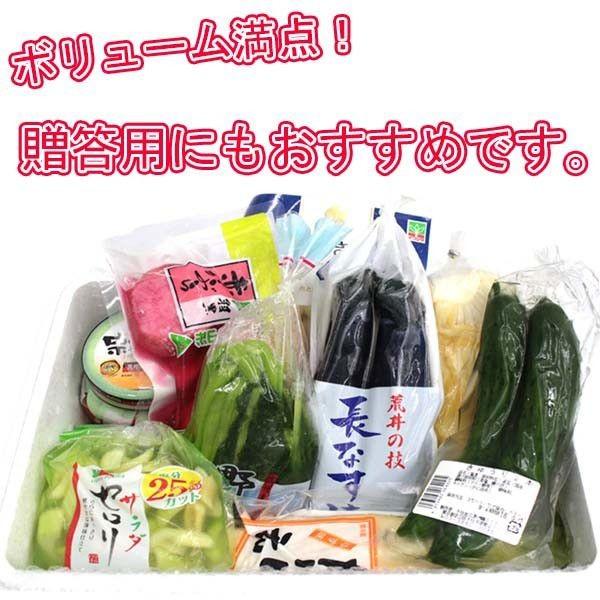 ★セット内容 ■宗家キムチ ■たけし君　ゆず味■胡瓜２本■荒井の長なす２本■柿酢　赤かぶら ■野沢菜漬け■千住金久　白菜■サラダ セロリ■岩下の塩らっきょう★宗家キムチ　約１５日(要冷蔵)■たけし君　ゆず味　約２０日(要冷蔵)■胡瓜２本　約...