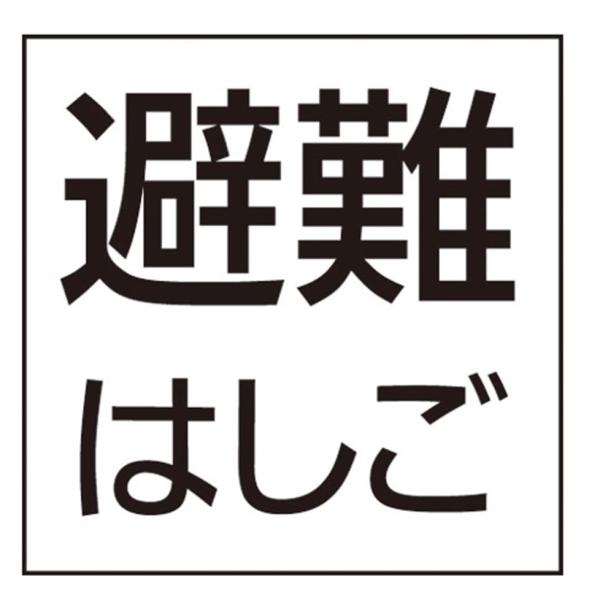 【商品概要】パネル:アクリル(ホワイト)文字:ブラックその他文字についてもご注文に応じます。本体別売り注)本体はFA20380C、FA20390Cをご使用ください。(誘導灯にはご使用できません。)【商品説明】【商品詳細】ブランド：パナソニッ...