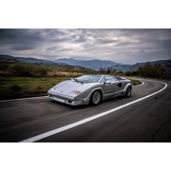 【商品概要】Finclassically 1/64スケールミニカー。ダイキャストモデル。【商品説明】【商品詳細】ブランド：フリースタイル(FREESTYLE)商品種別：ホビー商品名：Finclassically 1/64 Countach ...