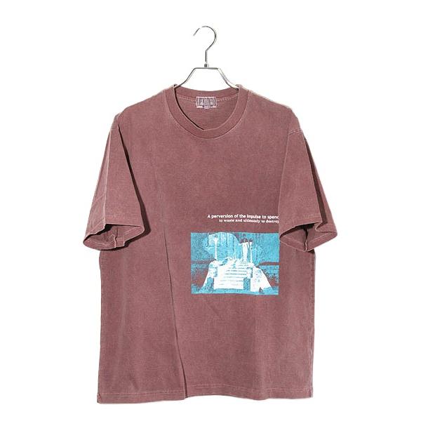 2022SS C.E シーイー OVERDYE SPEND WASTE T オーバーダイ プリント 半袖Tシャツ カットソー L BROWN ブラウン CES21T15 /◆ メンズ【表記サイズ】メンズ：L【実寸サイズ】肩幅：54cm　身幅...