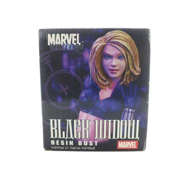 未使用品 MARVEL UNIVERSE BLACK WIDOW RESIN BUST 4000個限定 フィギュア おもちゃ マルチカラー ■GY11 /MQ その他【表記サイズ】-【実寸サイズ】-　【素材】-【色】マルチカラー【状態】外箱...