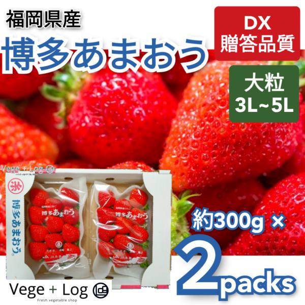 京都の卸売市場より、新鮮な 福岡県産 博多あまおう DX等級 大粒3L〜5Lサイズ 約300g前後×2パック入 を 検品の上産地箱でお届けいたします。【博多あまおうとは】「博多あまおう」は福岡県で育成される有名なブランド苺で、あかい・まるい...