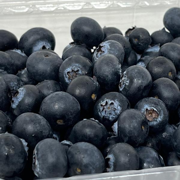 カリウム・食物繊維・ビタミンC・ビタミンE・アントシアニンが豊富に含まれています。眼精疲労にも良いとされています。チリまたはメキシコ産のブルーベリーです。