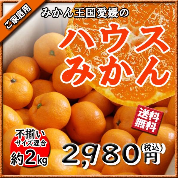 【発売日：2023年06月17日】みかん王国・愛媛から自信作のハウスみかん　ハウスみかんはその名の通り、ハウス栽培のみかん。冬の露地みかんと同じ、温州みかんですが、ハウス施設の中でみかんを熟す環境を作って栽培しております。夏の暑さにさわやか...