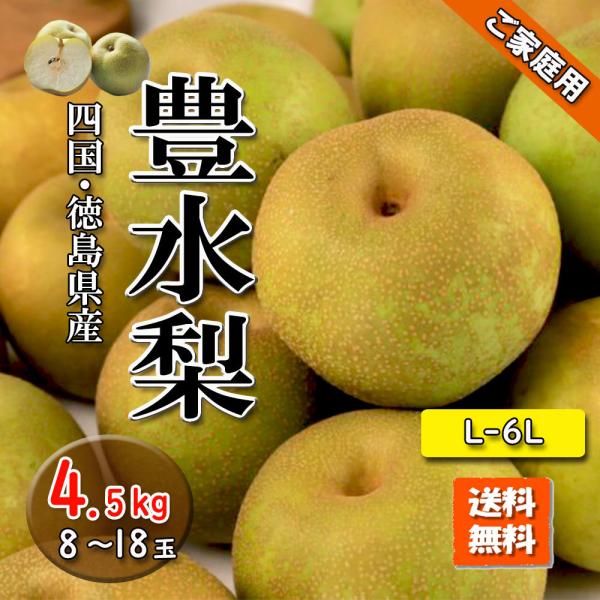 【発売日：2018年08月07日】豊水 梨 徳島県産 豊水梨 夏の疲労回復に L〜6L 約4.5ｋg 送料無料暑い夏がまだまだ続きます。果物で水分補給がふさわしい季節です。徳島の歴史ある梨「幸水」。果肉が柔らかく、濃厚な味わいが特徴です。こ...